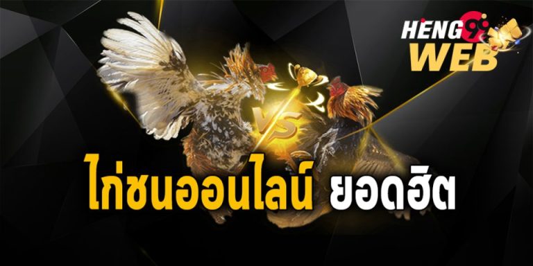 เกมไก่ชน ค่าย Eazy Gaming แหล่งรวมกำไรของนักลงทุนที่ชื่นชอบไก่ชน